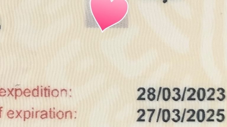 メキシコ滞在VISA (FM3)無事に更新! これで安心して一時帰国できます - じゅんこの知ることの大切さ